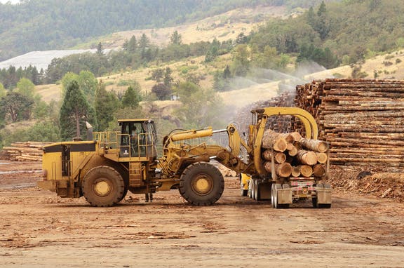 Log Yard stock image. Image of equipment, timber, loader - 21426333