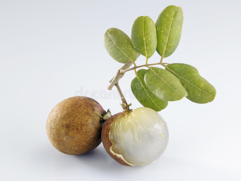 Fruta de Logan foto de archivo. Imagen de vitamina, fruta - 63811394