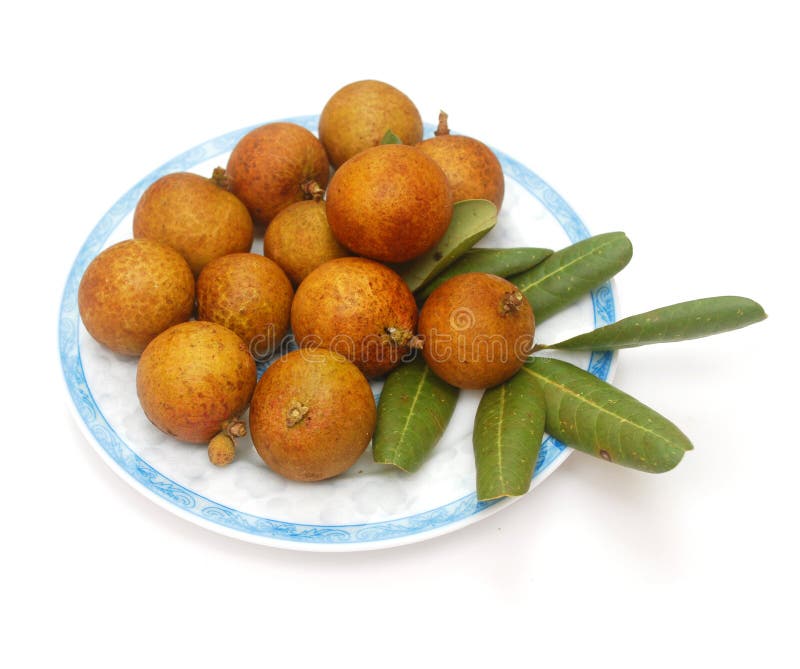 Logan fruit stock image. Image of brown, natural, white - 15480019