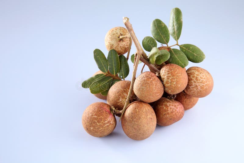 Logan Fruit with Leaves on White Background Stock Image - Image of ...