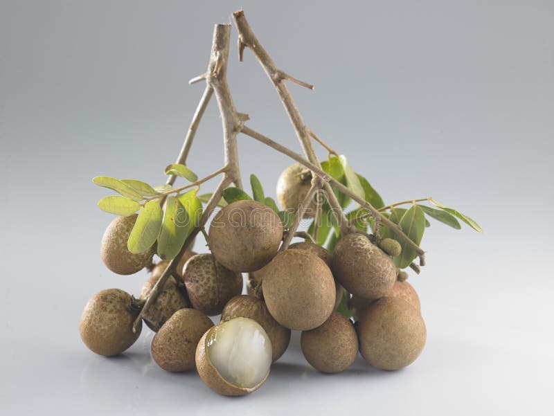 Logan stock image. Image of plant, bunch, vitamin, fresh - 63821301