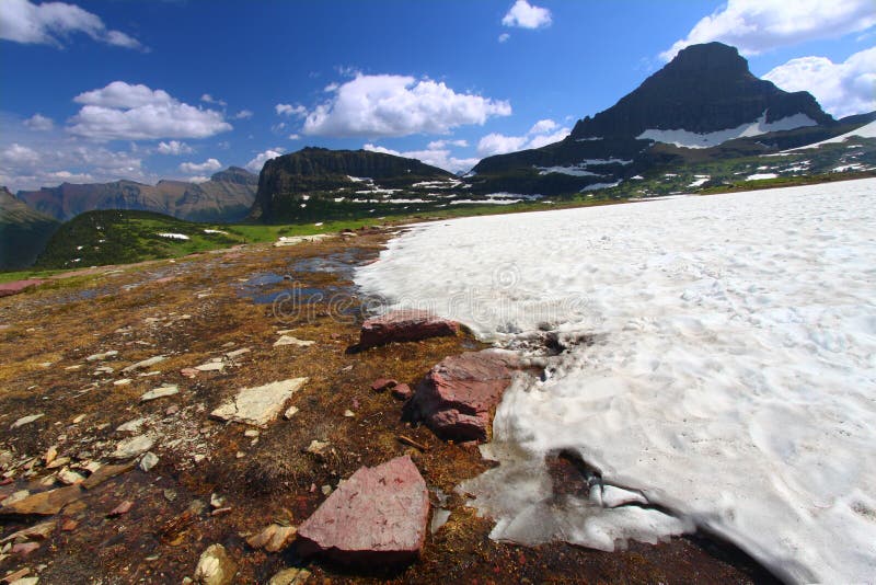 Logan Pass Snowfall stock photo. Image of field, habitat - 21072872