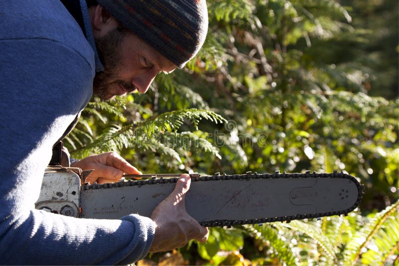 Logger stock image. Image of rough, person, lumberjack - 12723181