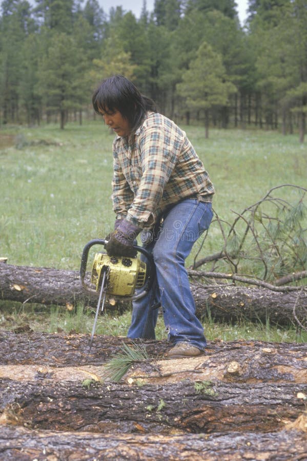 Logger Man Cutting a Tree with Chainsaw. Lumberjack Working with ...