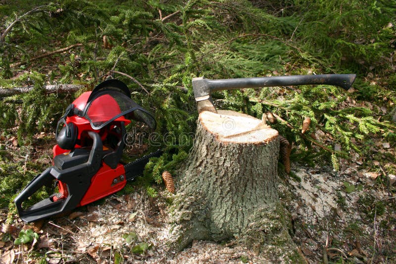 Logger equipment in forest stock photo. Image of helmet - 21446806