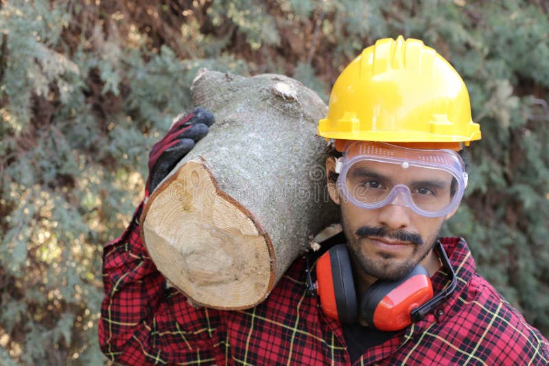 Logger Holding Heavy Trunk in the Forest Stock Photo - Image of hand ...