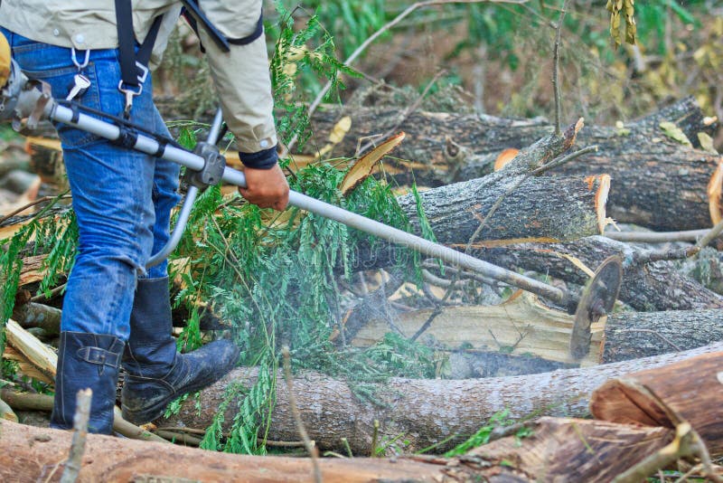 Logger man is cutting wood stock photo. Image of building - 34278926