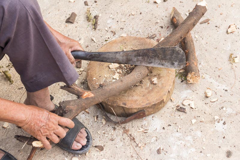 Logger man cutting wood. stock photo. Image of forest - 69397750