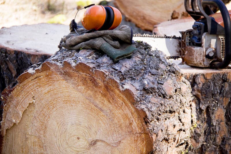 Logger Safety stock image. Image of outdoors, safety - 14267275