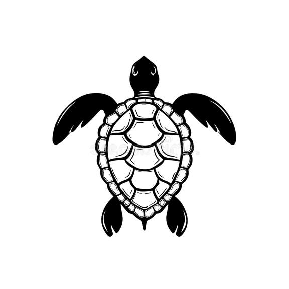 Loggerhead Turtle. Loggerhead Turtle Simple Black and White Line Art ...