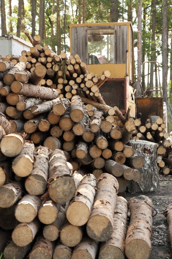Logging stock image. Image of logging, industrial, extraction - 20346435
