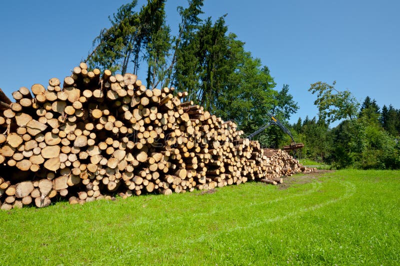Logging stock image. Image of industry, bark, logger - 27296489