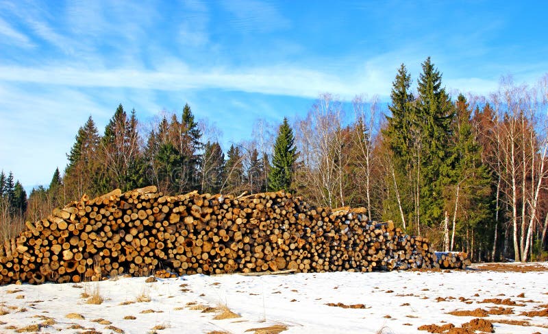 Logging stock photo. Image of logs, forestry, winter - 38425946