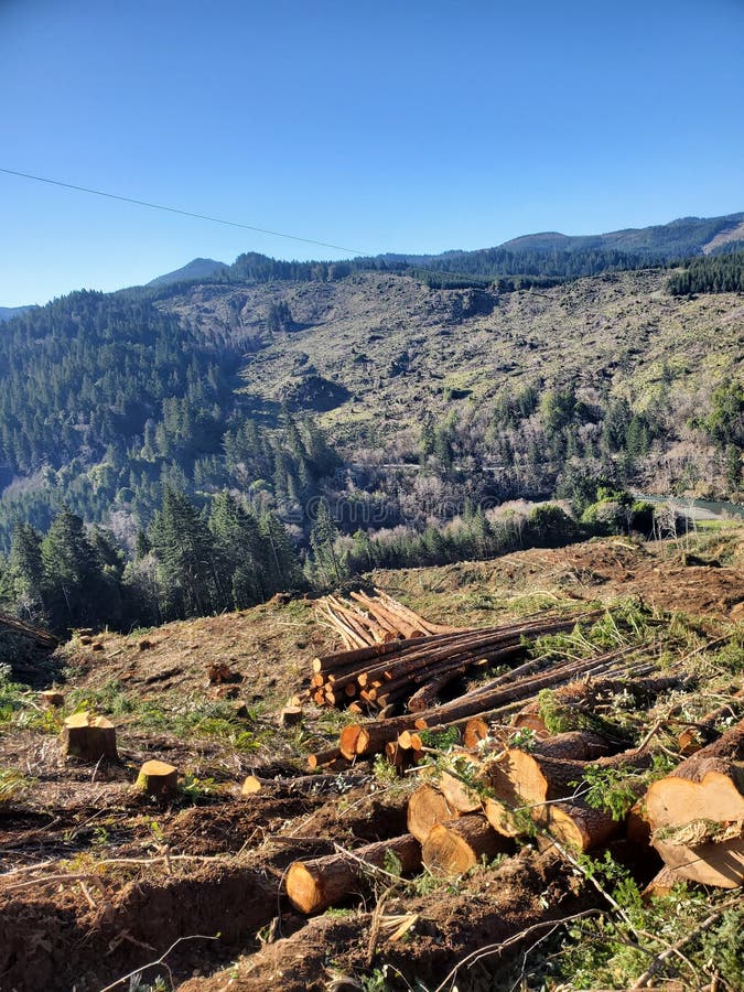 Logging America Great Outdoors Stock Photo - Image of logging, great ...