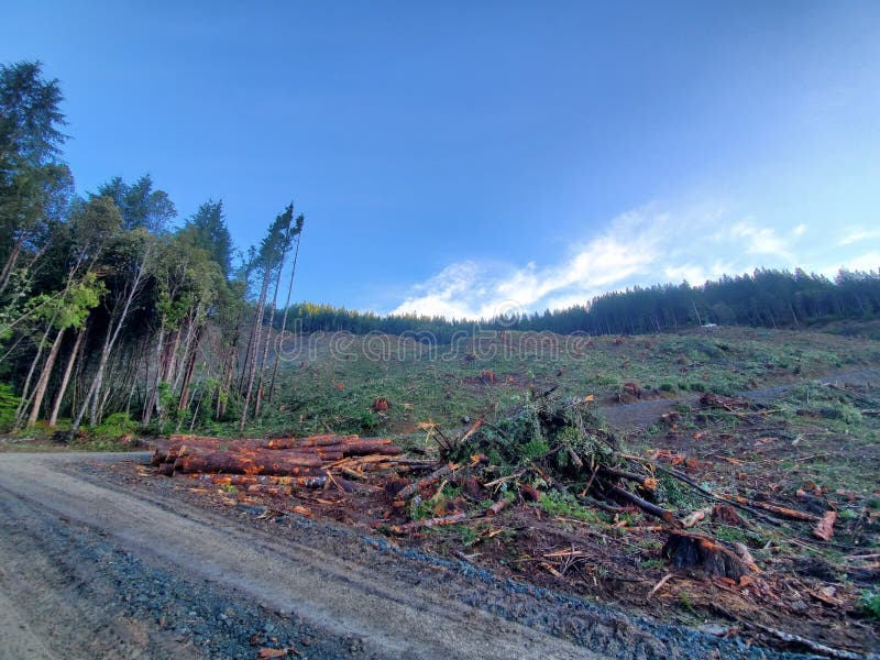 Logging America Great Outdoors Stock Image - Image of logging, america ...