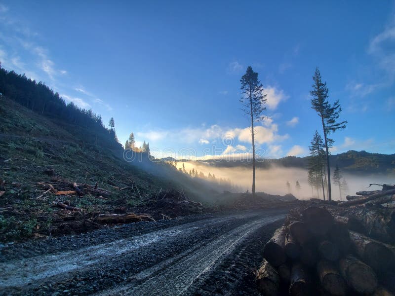 Logging America Great Outdoors Stock Image - Image of great, nature ...