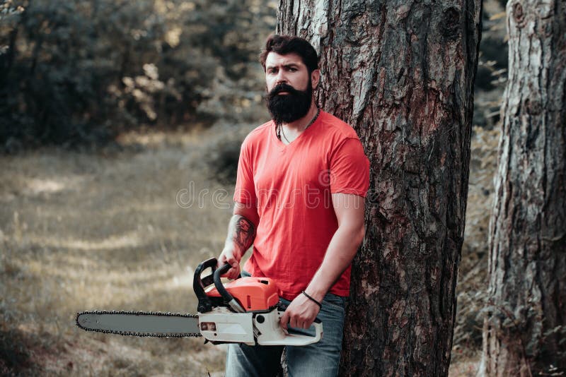 Deforestation is Major Factor of Global Global Warming and Spoil the ...