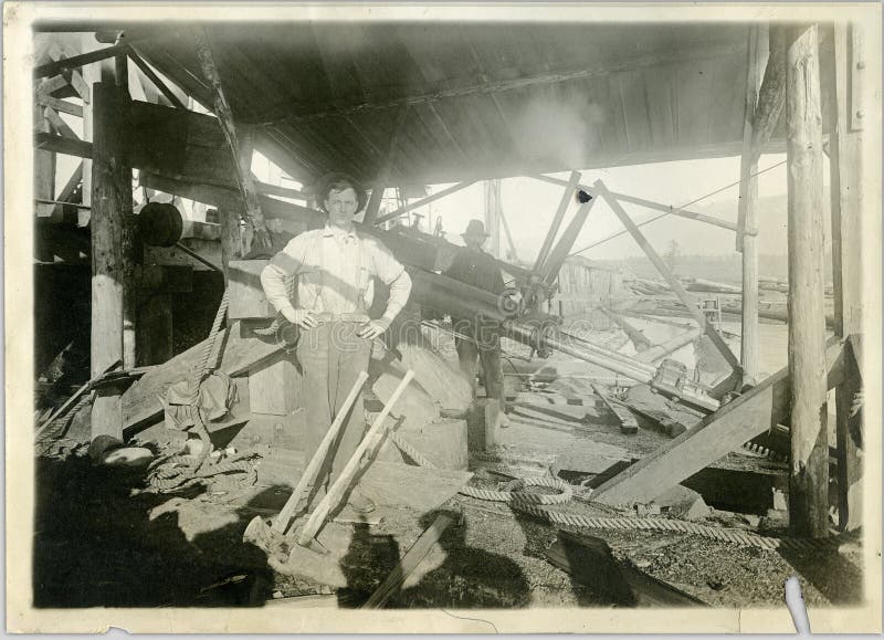 Logging Employees At Work Picture. Image: 222348321