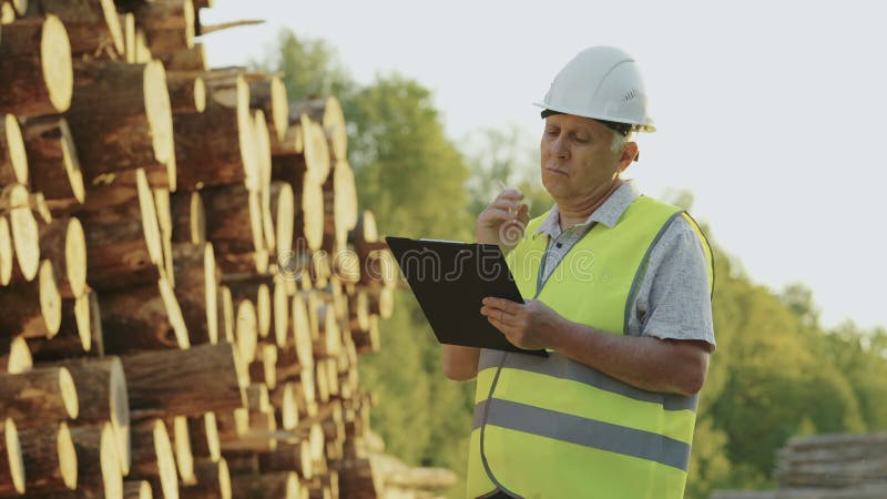 Logging Engineer with with Paper Tablet in His Hands Next To Sawn Logs ...