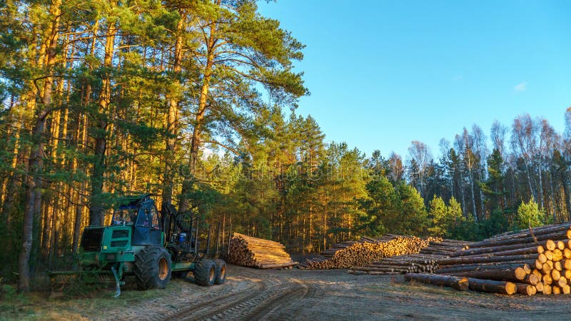 Logging Equipment in the Forest, Loading Logs for Transportation ...
