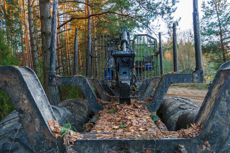 Logging Equipment in the Forest, Loading Logs for Transportation ...