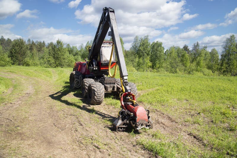 Logging Equipment.Harvester and Forwarder at the Logging Site Stock ...