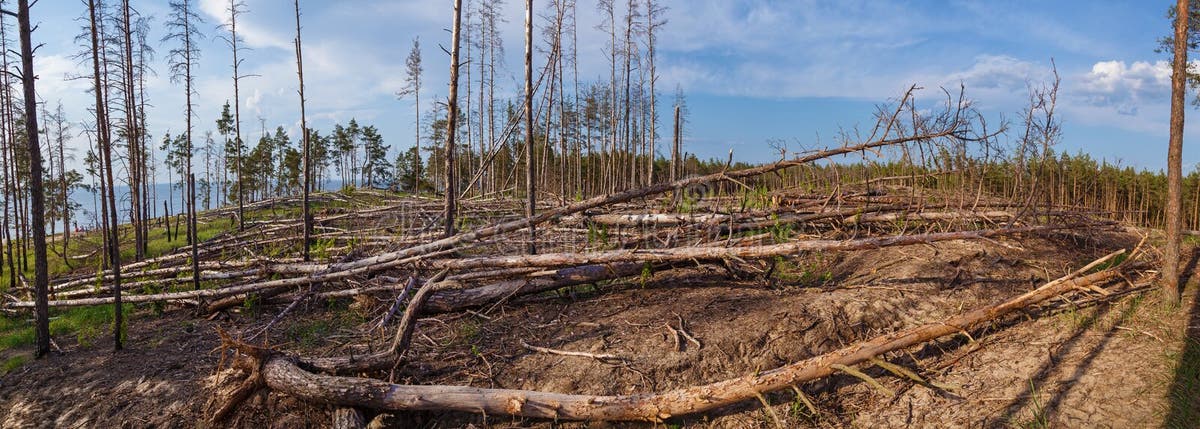 1,950 Empty Plot Stock Photos - Free & Royalty-Free Stock Photos from ...