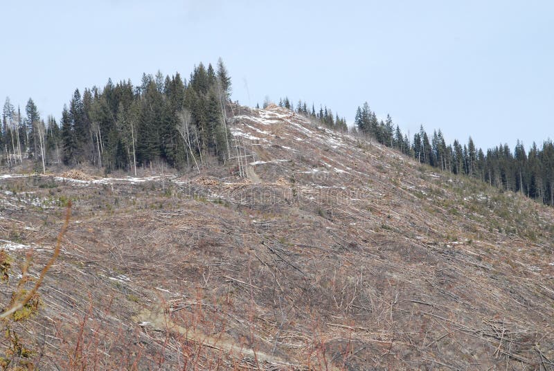 Logging on Highway 24 BC stock photo. Image of interior - 59040564