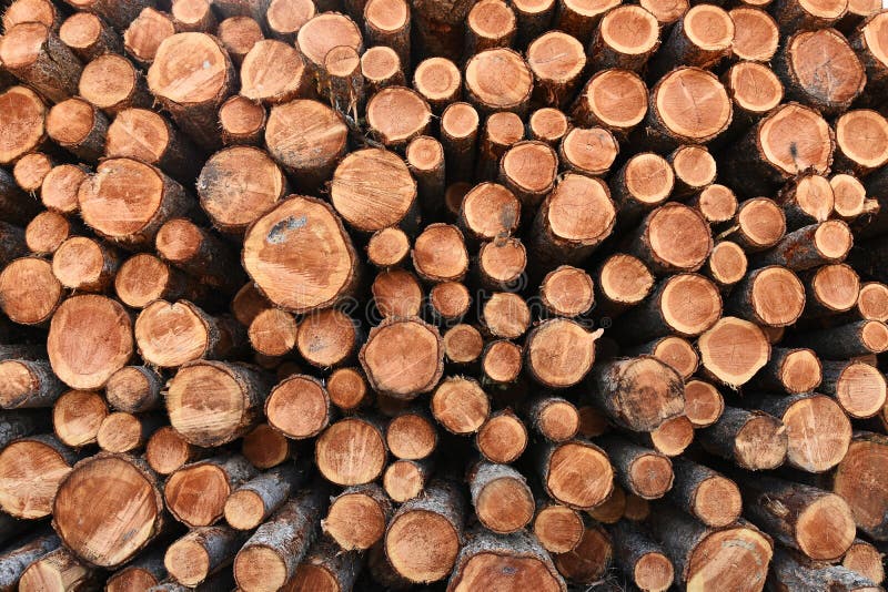 Logging Industry Abstract stock image. Image of texture - 147999063