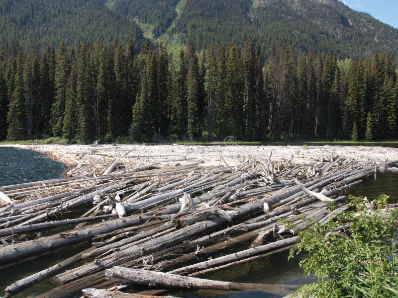 Logging Industry Picture on Fraser River British Columbis Canada Stock ...