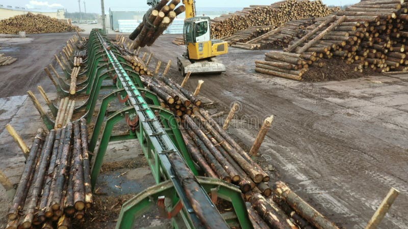 A Logging Machine Transports Logs To a Stack. Loader of Logs at the ...