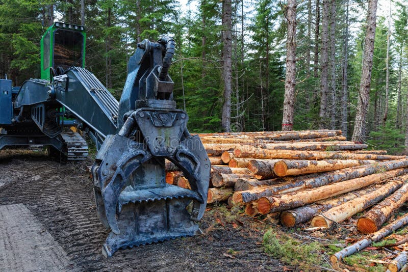Logging Machinery with Cut Logs in the Forest Stock Image - Image of ...