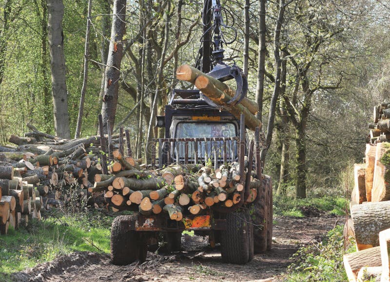 Logging machinery at work stock image. Image of employment - 275838517