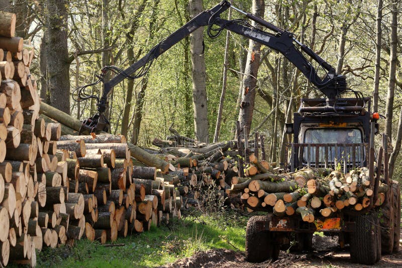 Logging machinery at work stock image. Image of machine - 275838545
