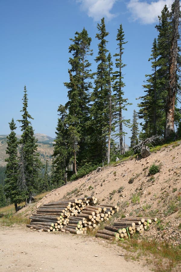 Logging in the mountains stock image. Image of grass - 58794511