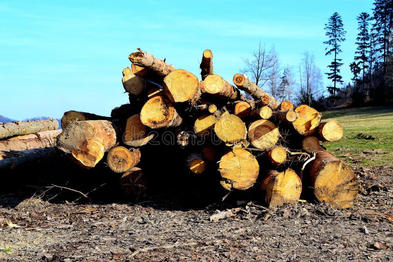 Logging in the Mountains, Wooden Logs on the Edge of the Forest Stock ...