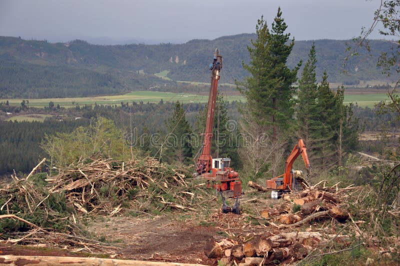 Logging operation stock photo. Image of pinus, machinery - 18698938