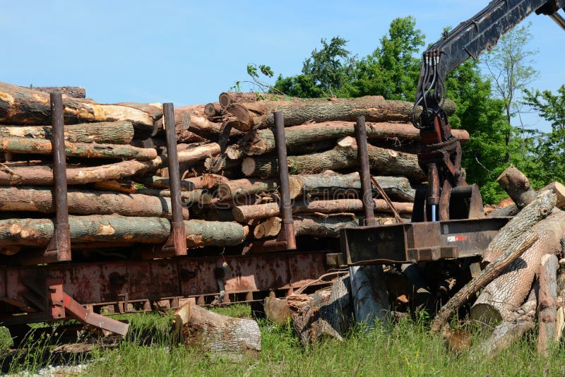 Logging operation stock image. Image of lumber, loader - 71975215