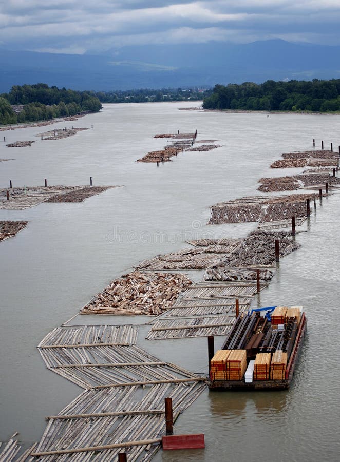 Logging Operation on Water stock photo. Image of boat - 12503484