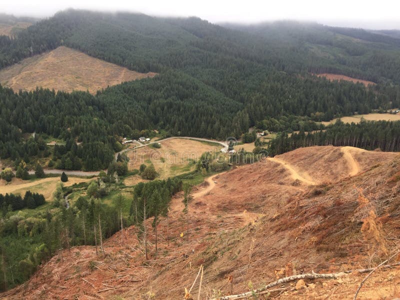 Logging! stock photo. Image of logging, sight, oregon - 82491106