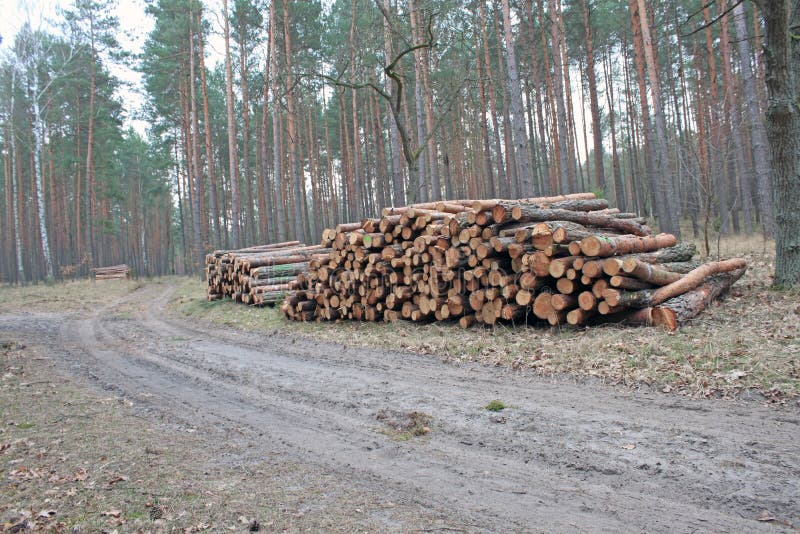 Logging Logging