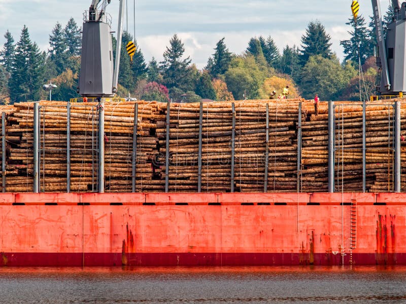 Logging at the Port editorial photo. Image of timber - 91525331