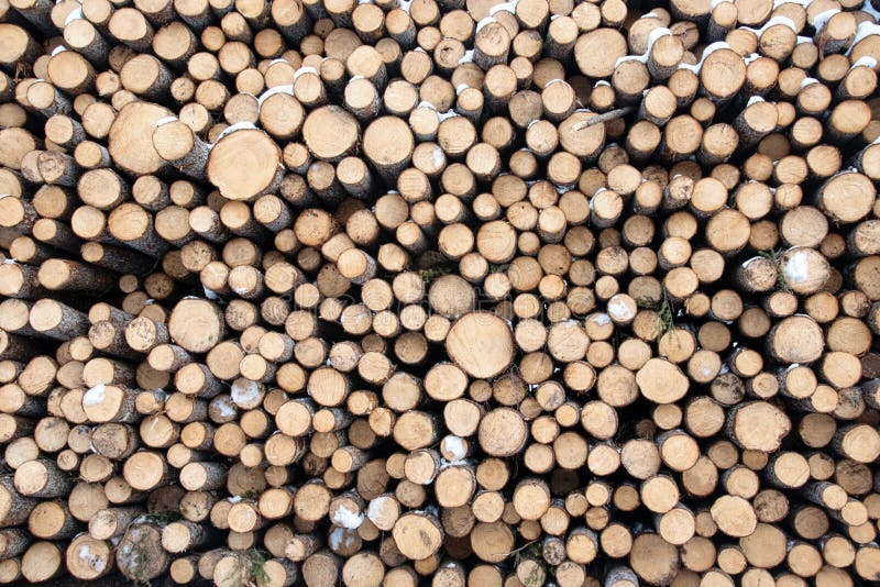 Logging for processing stock photo. Image of equipment - 76469844