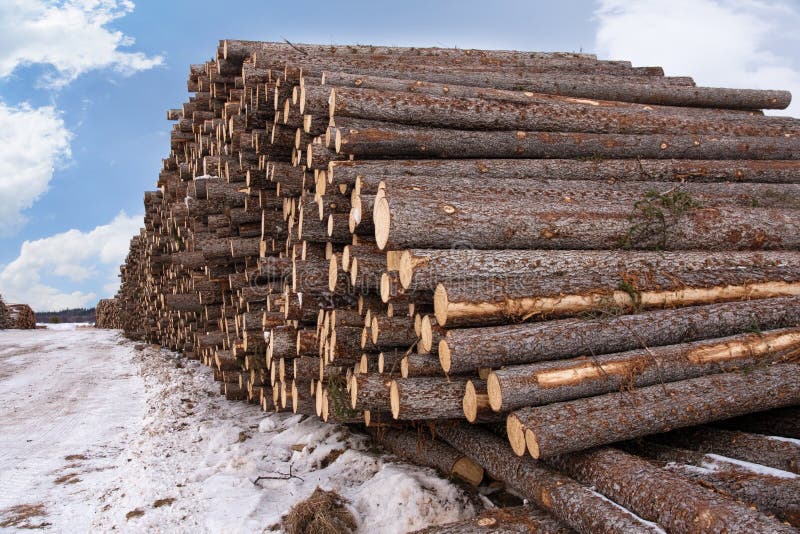 Timber Power Poles Stock Photos - Free & Royalty-Free Stock Photos from ...