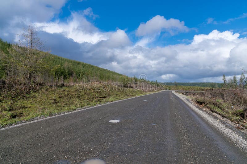 Logging Road on Mountain stock photo. Image of grassland - 91525764