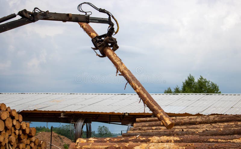 Sawmill and loading yard stock image. Image of buildings - 15700639