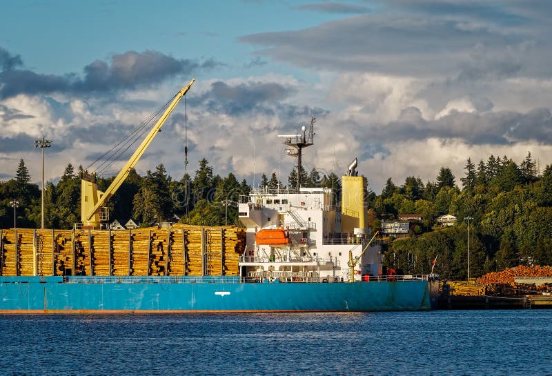 Loaded Logging Tucks stock photo. Image of semi, timber - 21225734