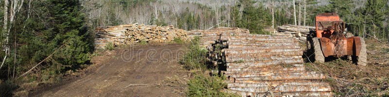 Logging Skidder stock image. Image of timber, yarder - 22480039