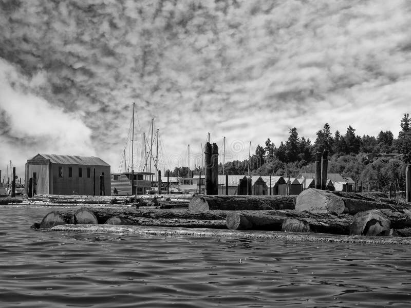 Logging Ship at Port stock image. Image of ocean, port - 91548507