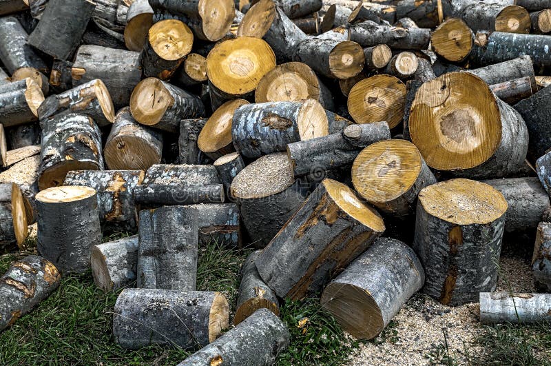 Logging and Storage of Firewood Stock Image - Image of energy, brown ...